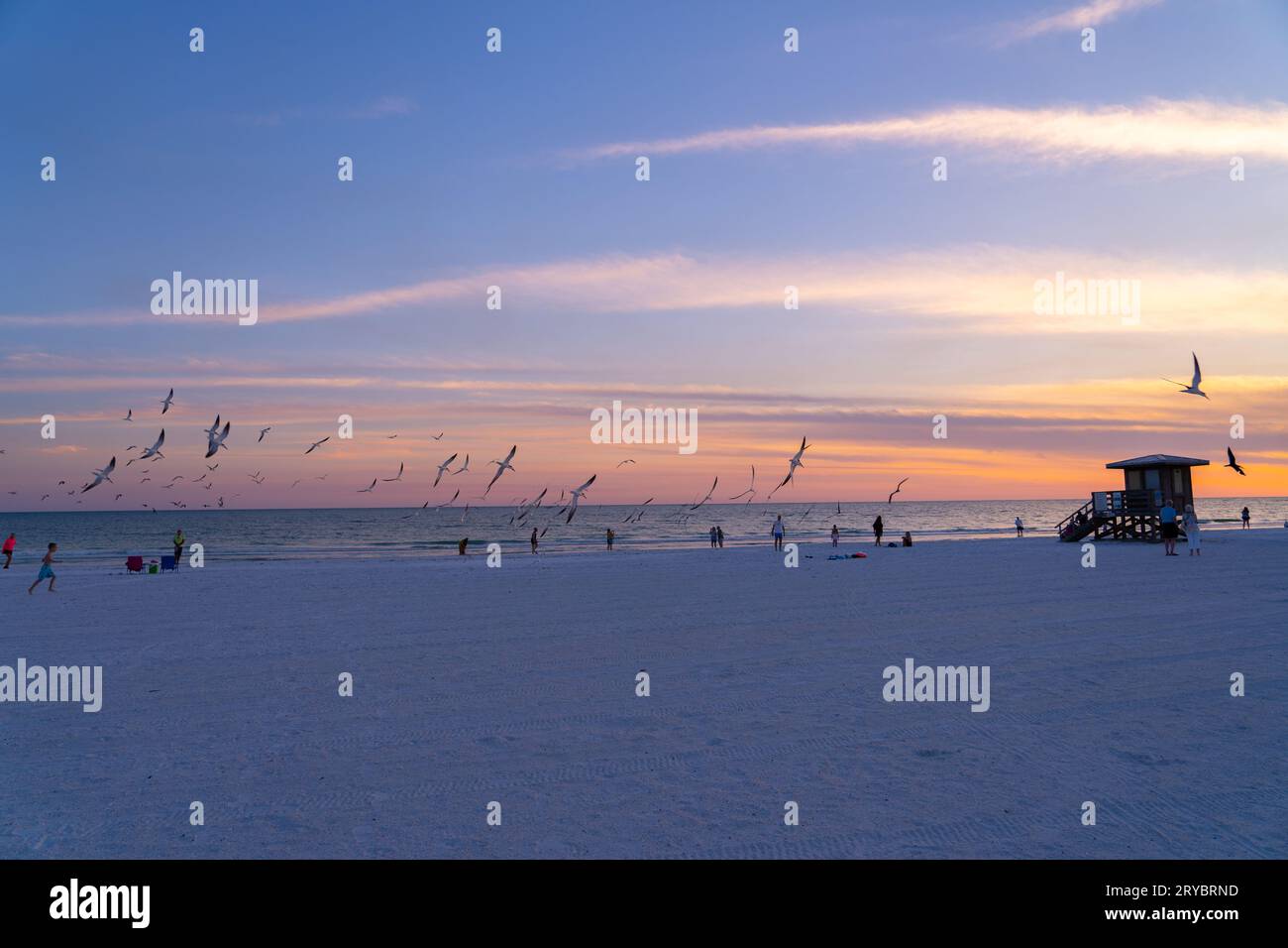 South florida sunset view hi-res stock photography and images - Alamy