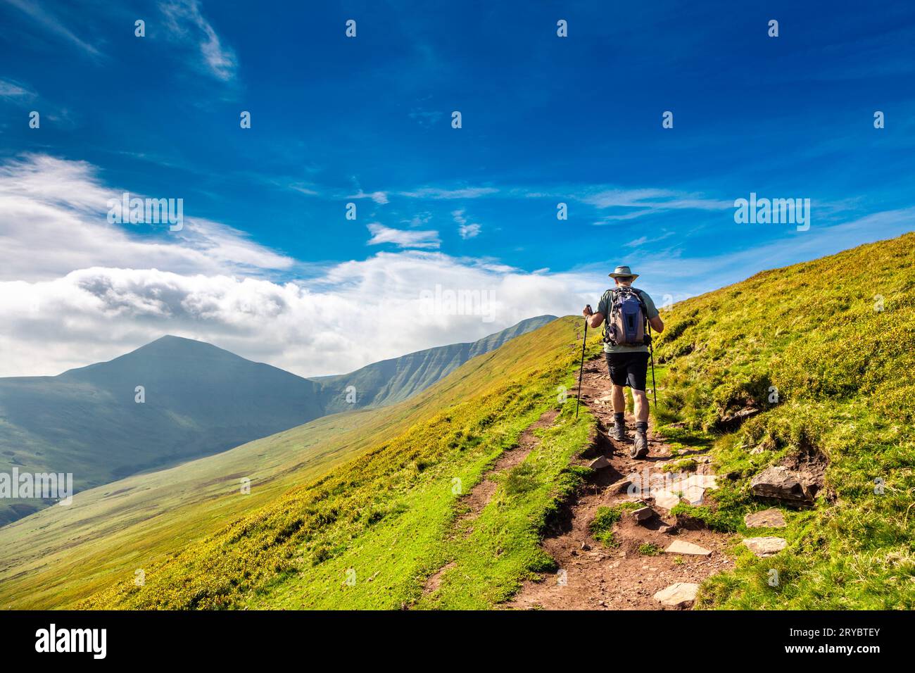 Hiker walking the trail from Cwm Gwdi to the Pen Y Fan summit with Cribyn summit in background ...