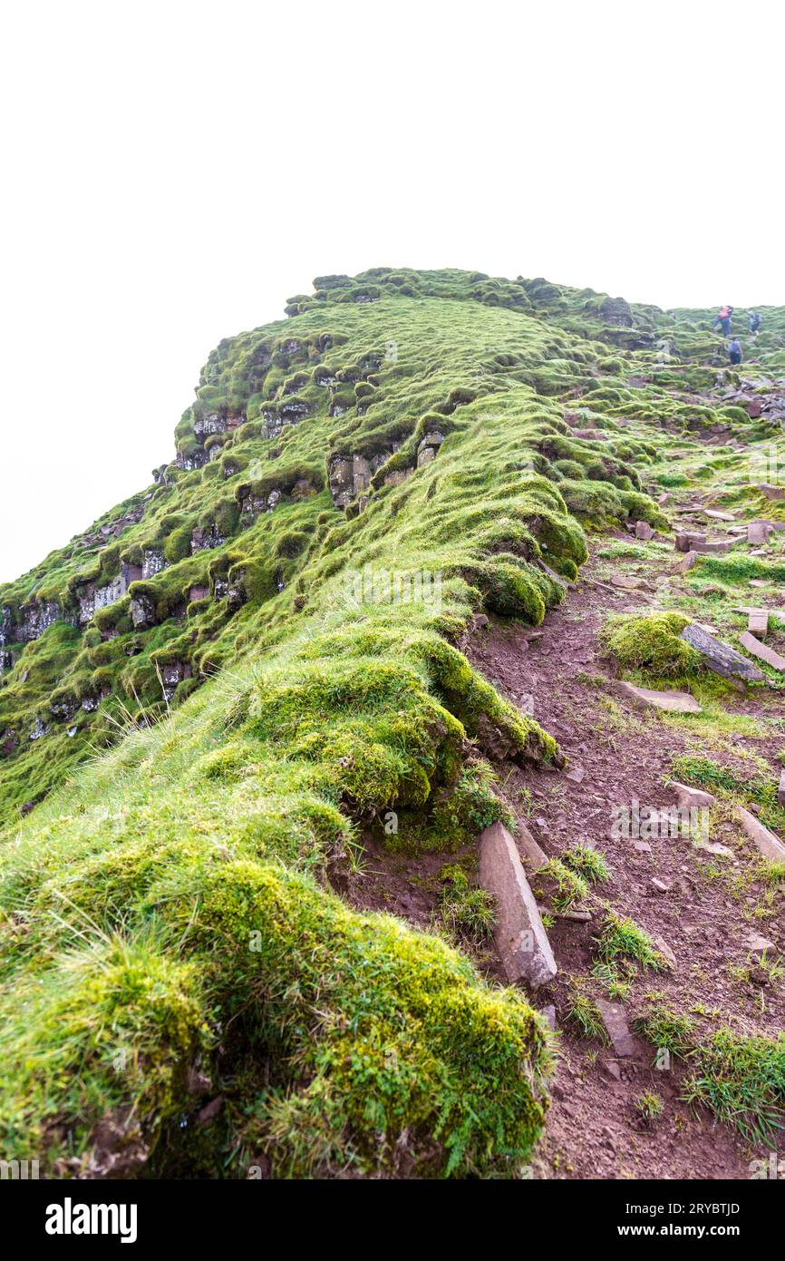 Grass-covered rocky ridge leading up to the Pen Y Fan summit, Brecon ...