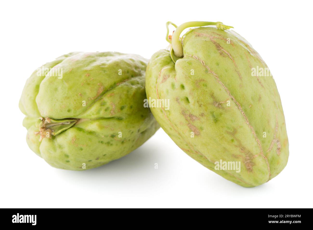 Chayote sechium edule two Cut Out Stock Images & Pictures - Alamy