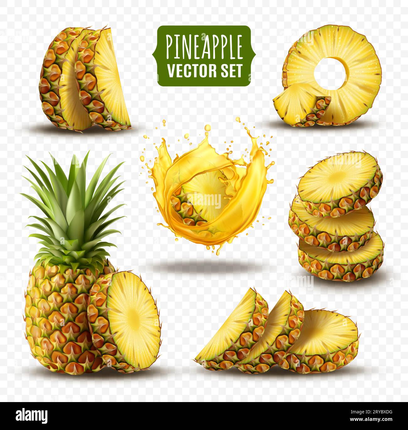 Pineapple fruit whole cut Stock Vector Images - Alamy