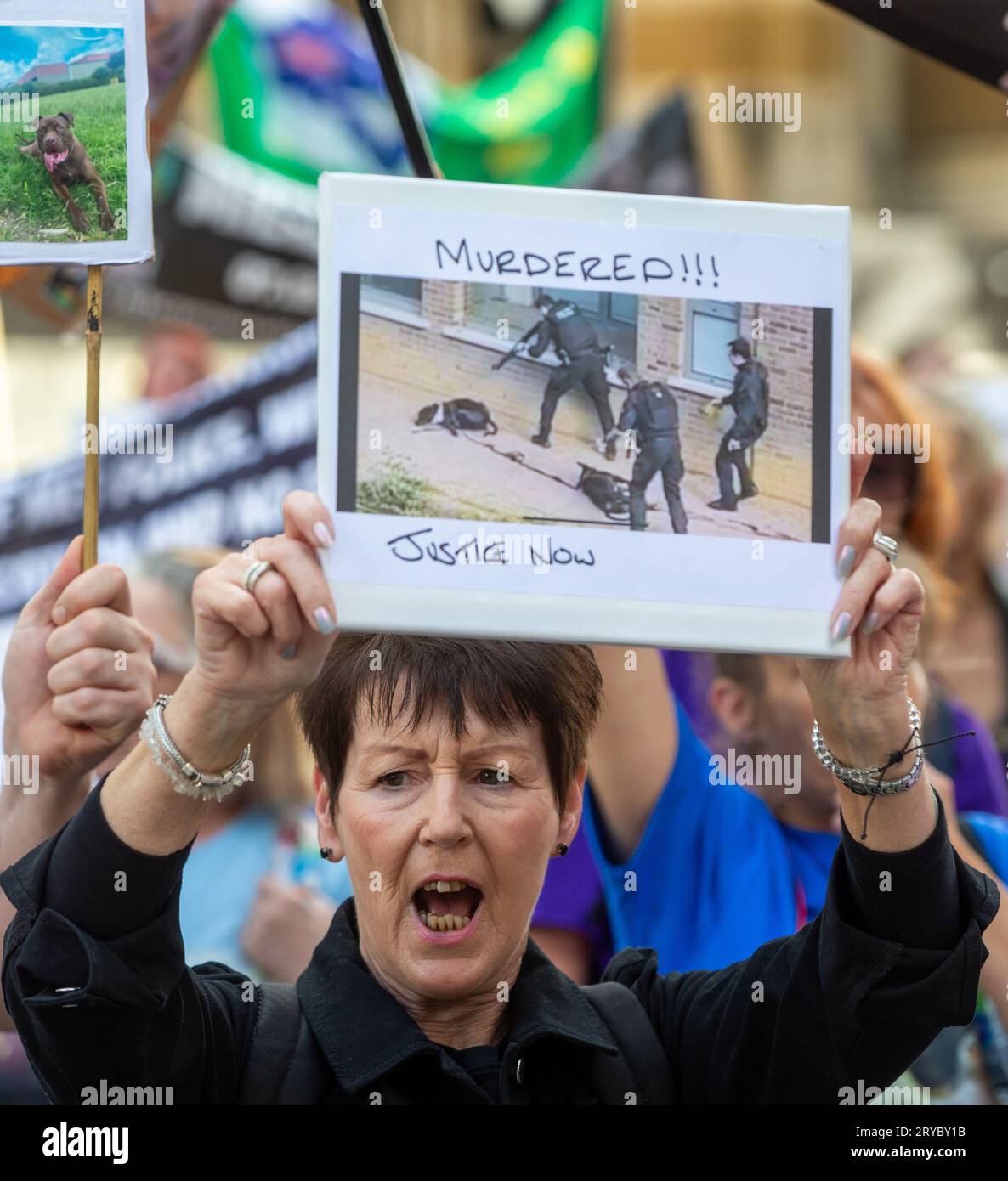 London, England, UK. 30th Sep, 2023. XL Bully owners stage protest ...