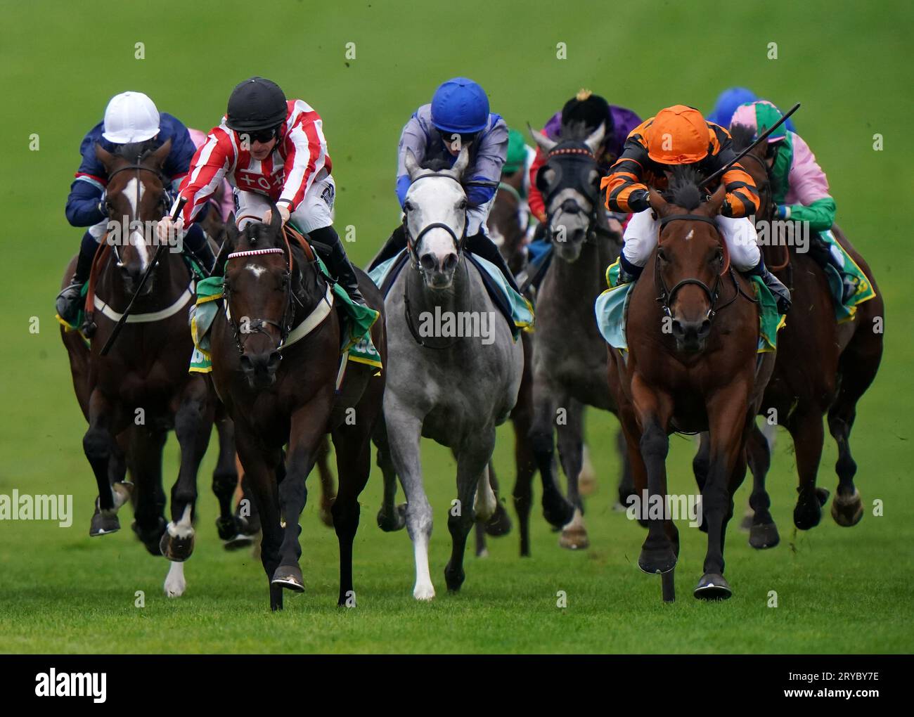 Astro king horse 2023 hi-res stock photography and images - Alamy