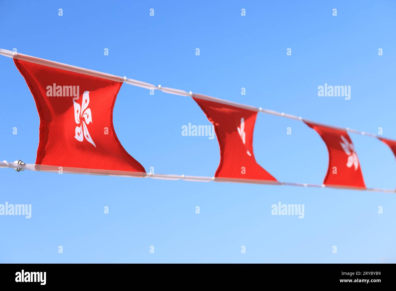 Chinese and hong kong flag set up in the event for celebrating the ...