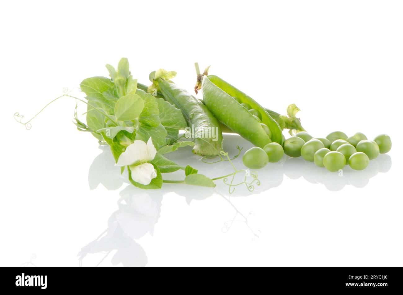 Pod texture hi-res stock photography and images - Alamy