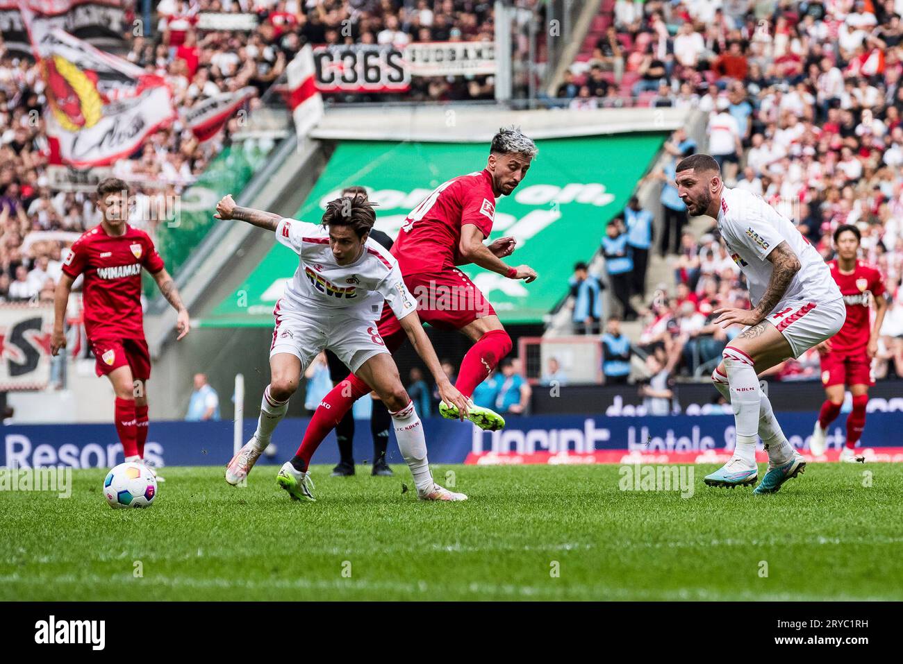 Koeln, Deutschland. 30th Sep, 2023. Denis Huseinbasic (1. FC Koeln, #8), Atakan Karazor (VfB ...