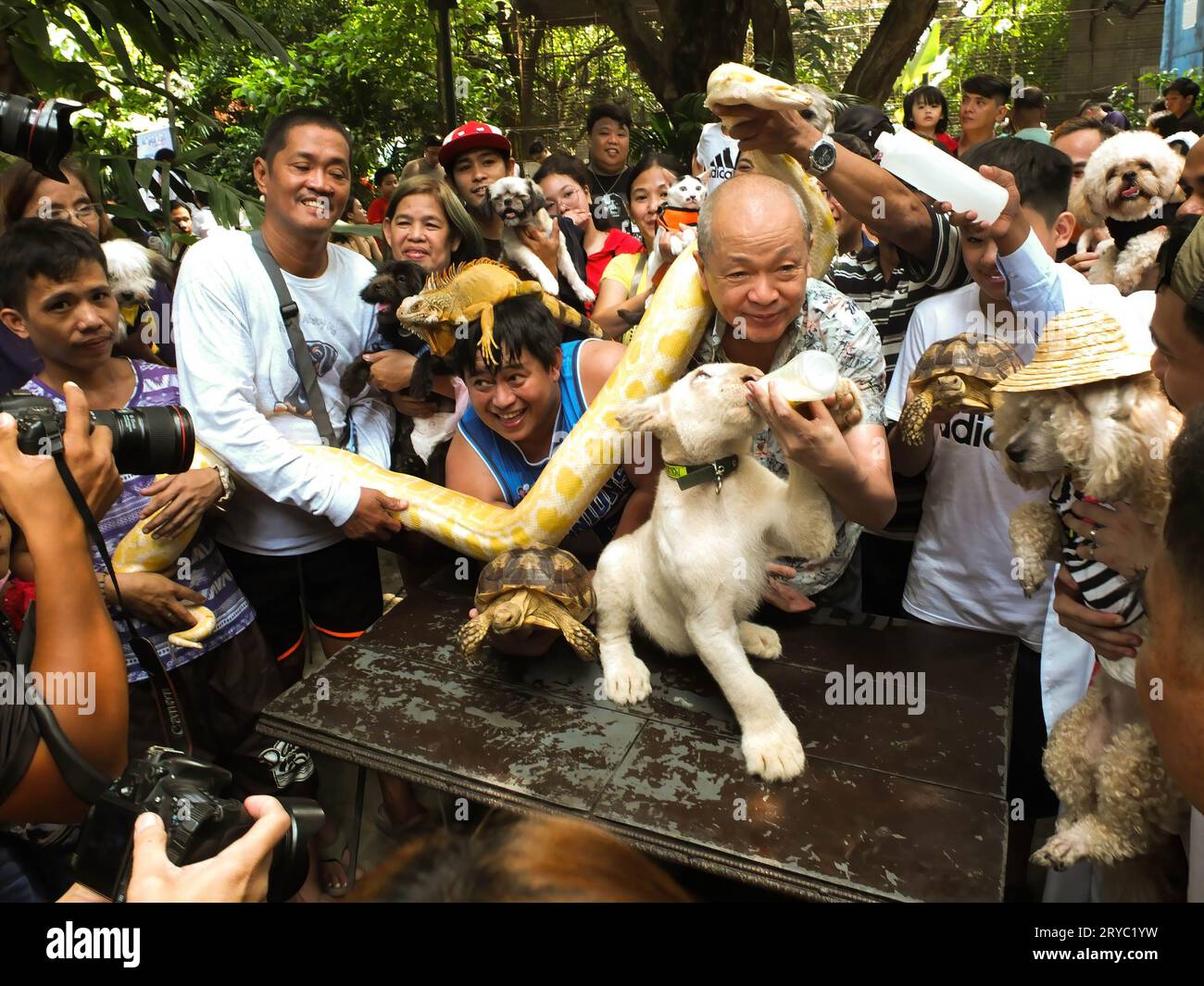 Manny Tangco, the founder of Malabon Zoo feeds "Sir George" a white ...