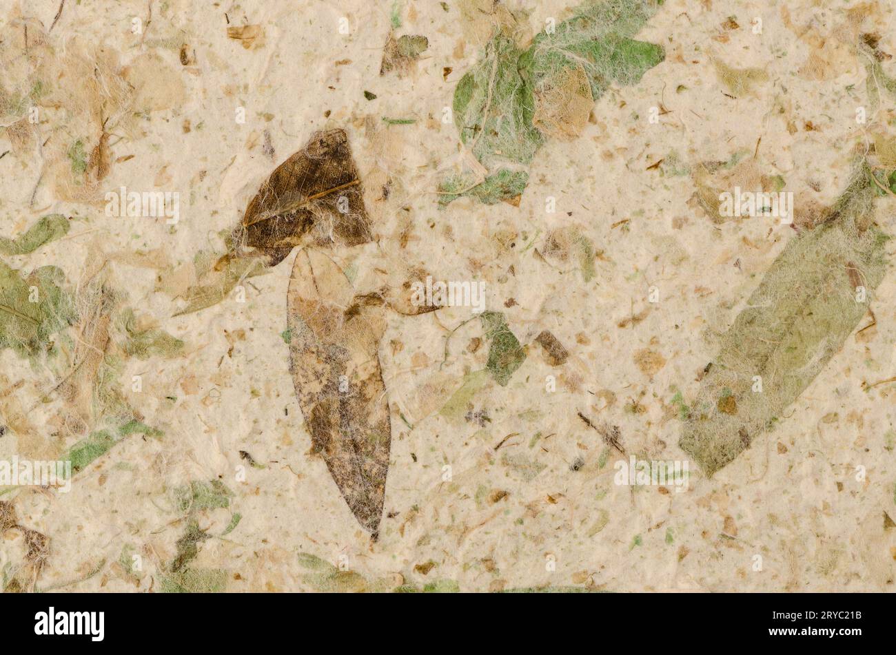 Hand pressed paper hi-res stock photography and images - Alamy