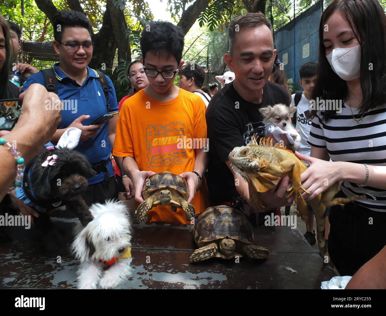 Pet owners carry their different kinds of pets, dogs, turtles and ...