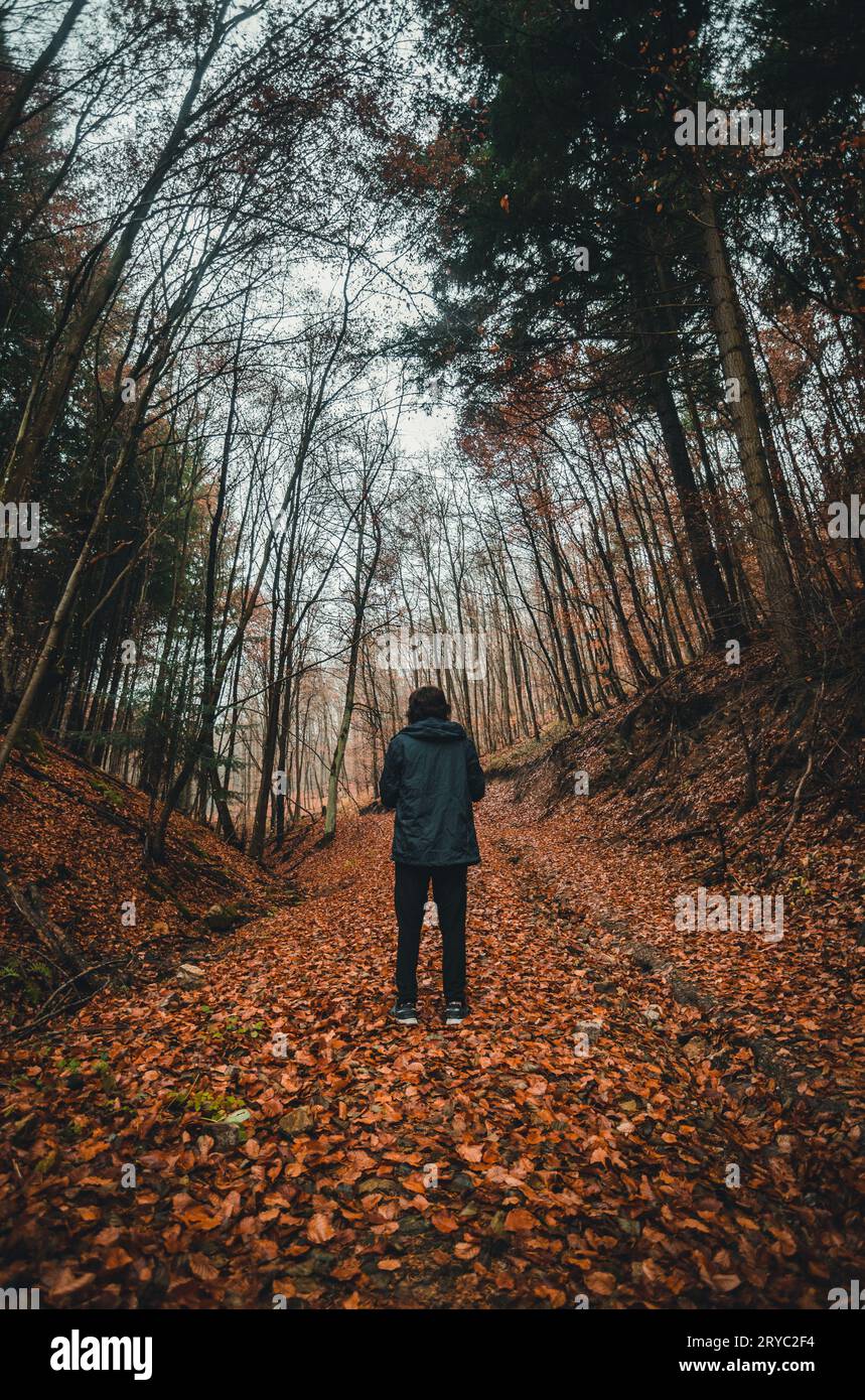 Image of young man in dark and misty forest in autumn time. Wide angle ...