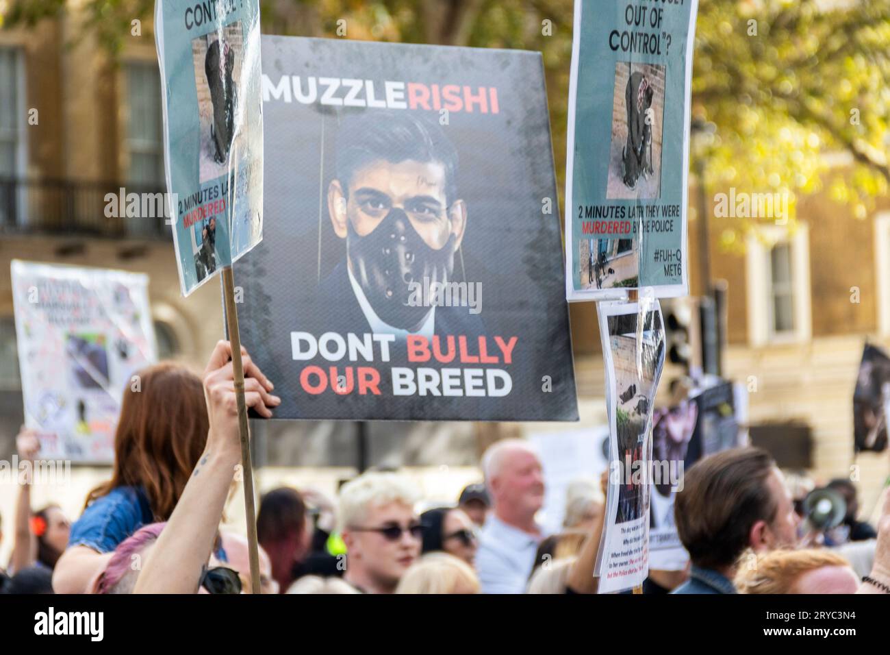 Justice for marshall and millions hi-res stock photography and images ...