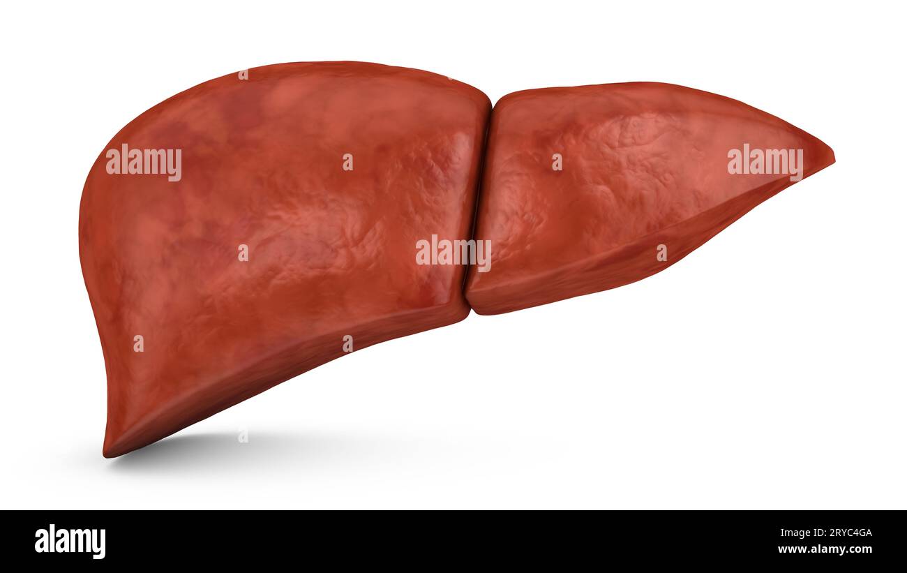 Liver cirrhosis hi-res stock photography and images - Alamy