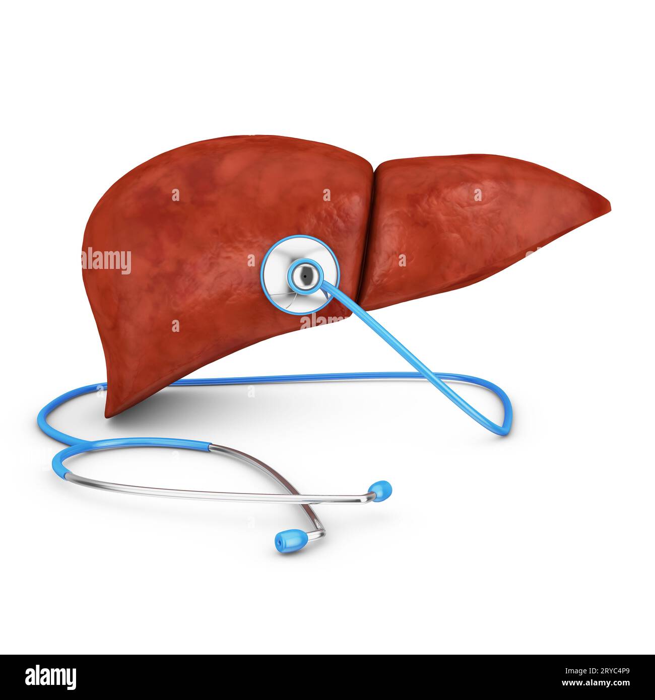 Liver organ health care Cut Out Stock Images & Pictures - Alamy