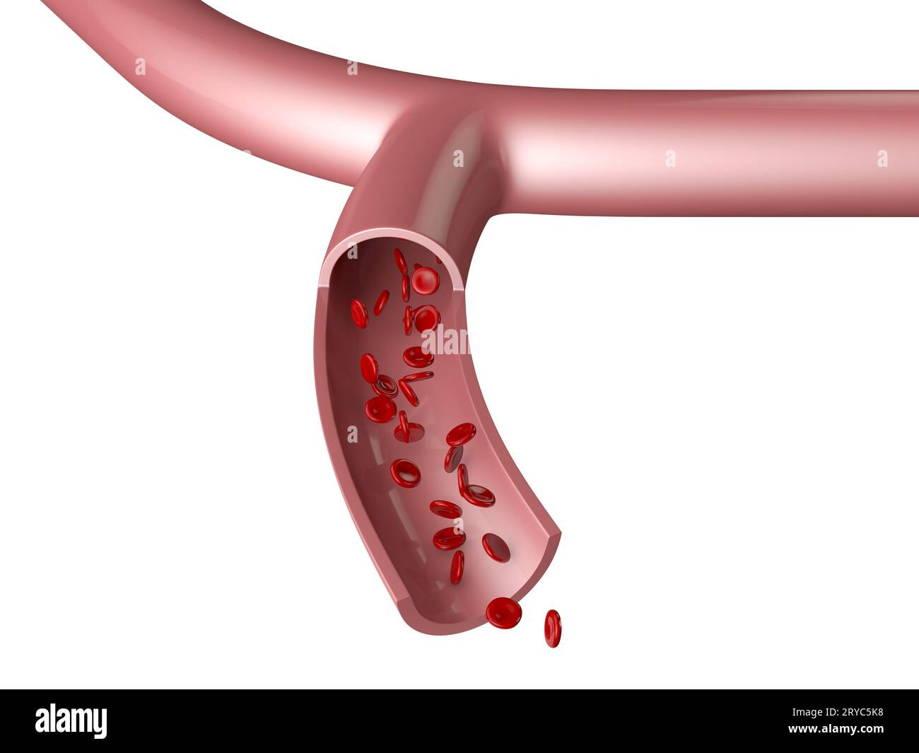 Sickle cell blood Cut Out Stock Images & Pictures - Alamy