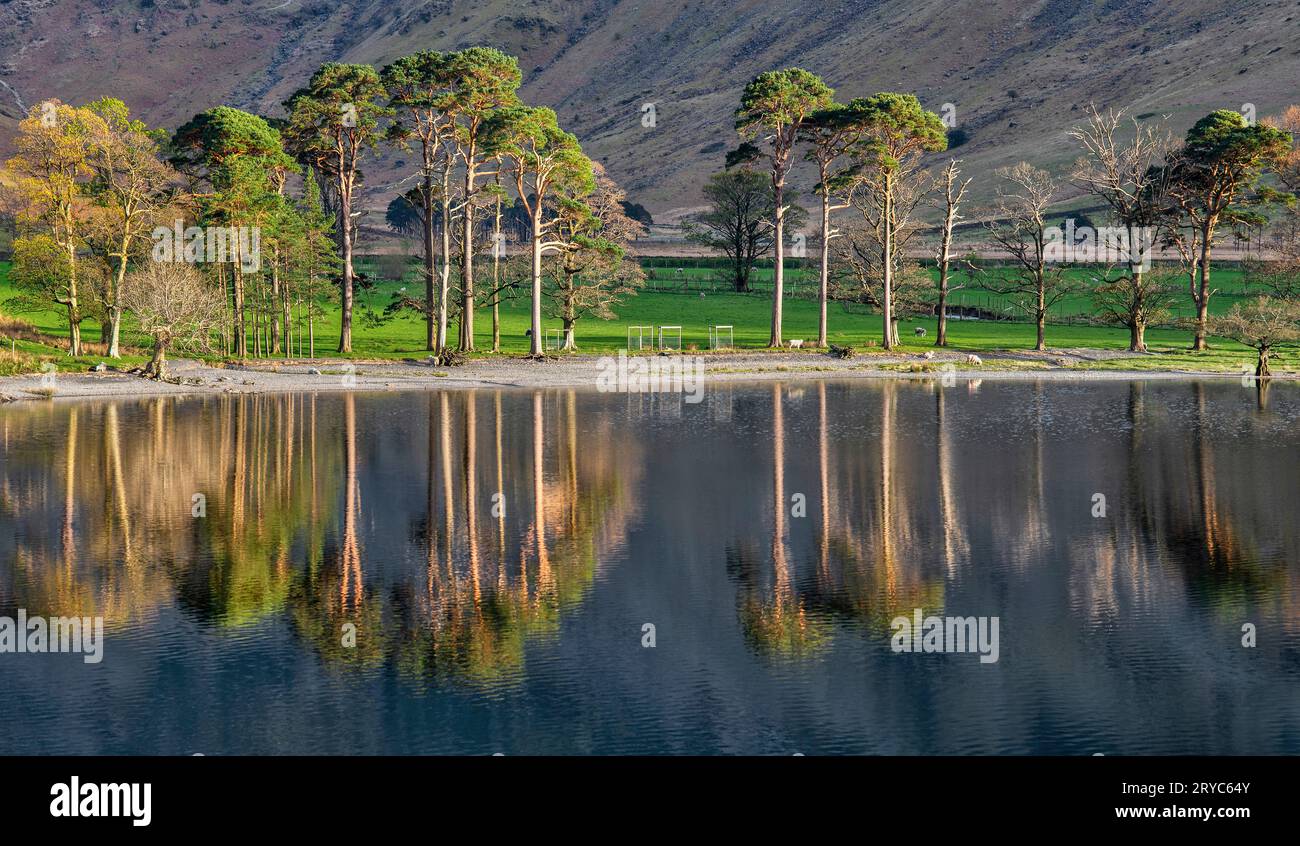 Buttermere Reflections (2 Stock Photo - Alamy