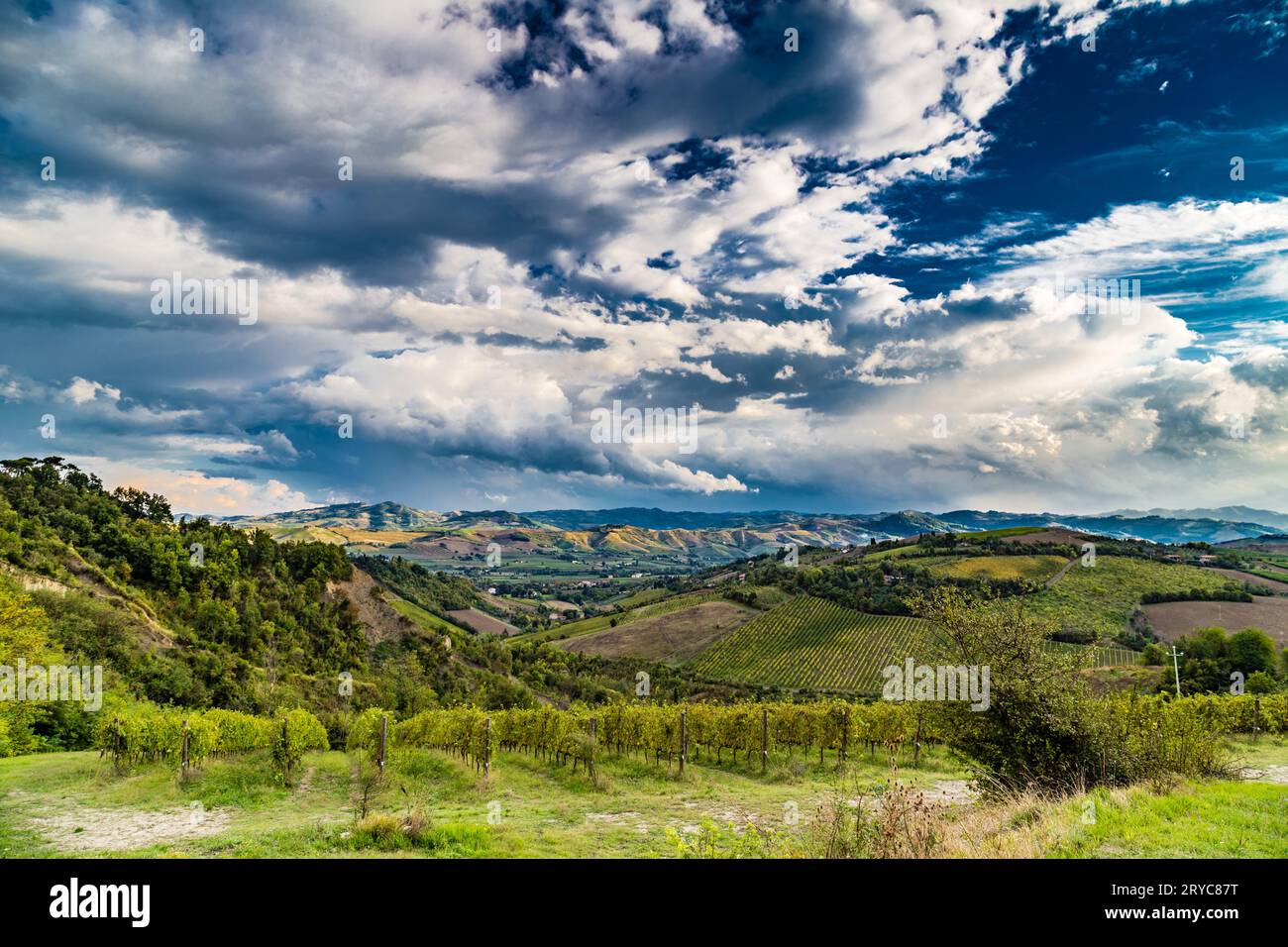 Beautiful rolling green hill grass hi-res stock photography and images ...