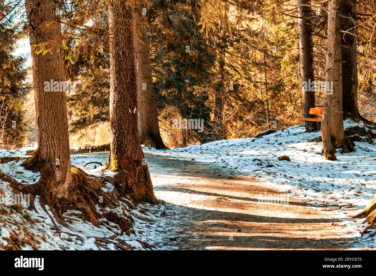 Alpine walk trail hi-res stock photography and images - Alamy