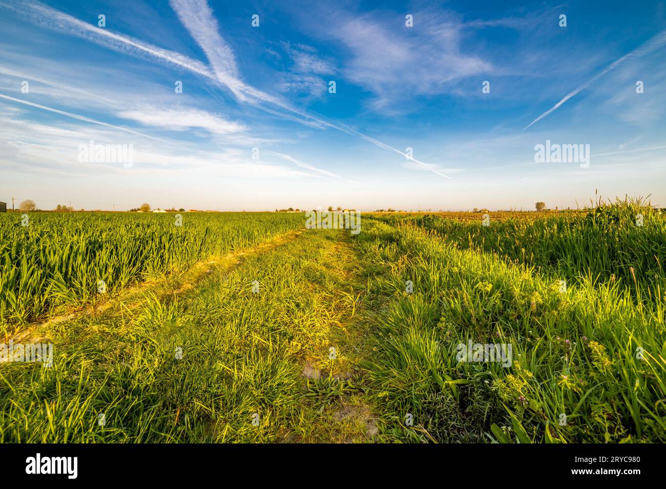 Wheel tracks background hi-res stock photography and images - Alamy