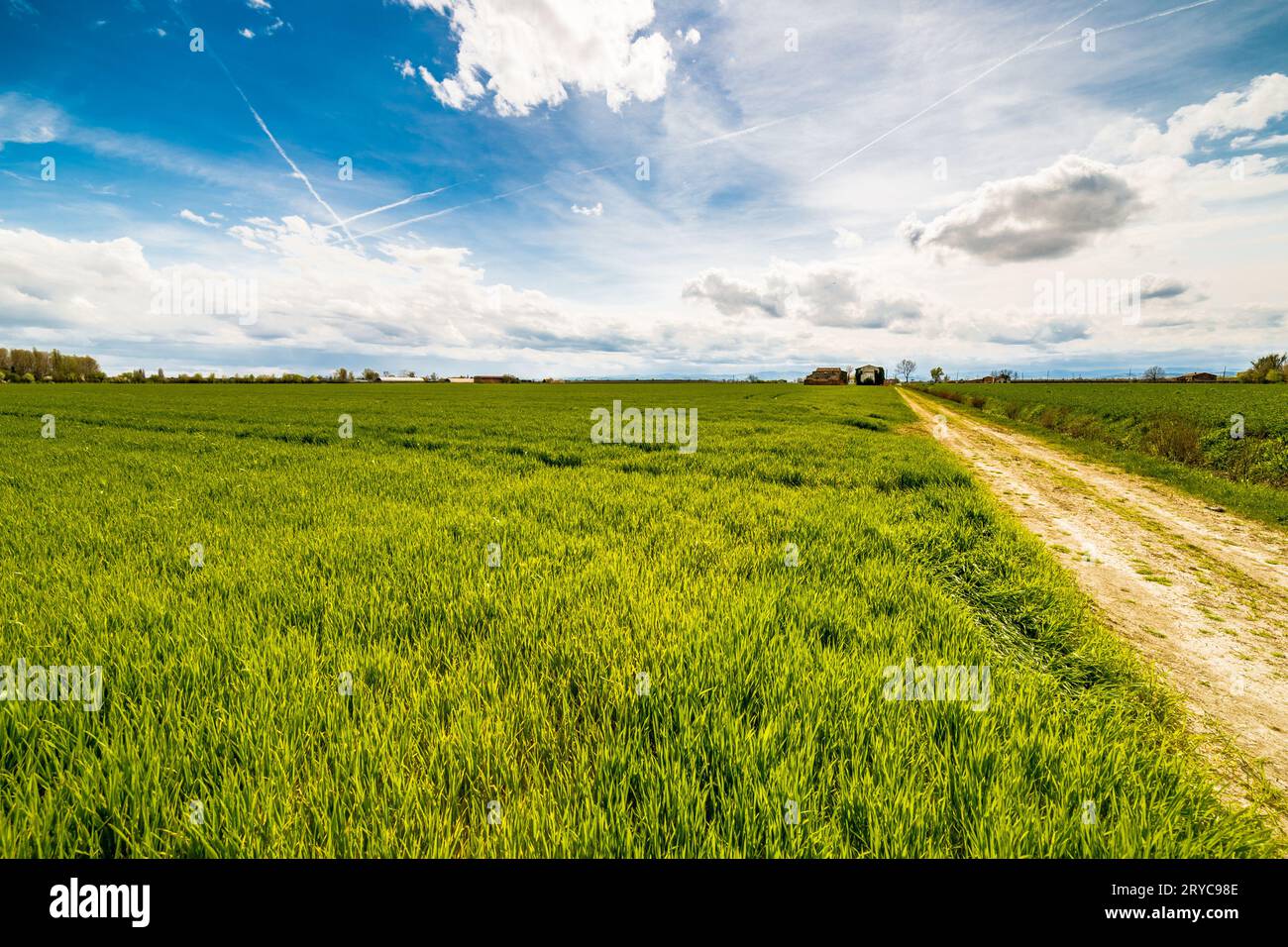 Country road running through green fields Stock Photo - Alamy