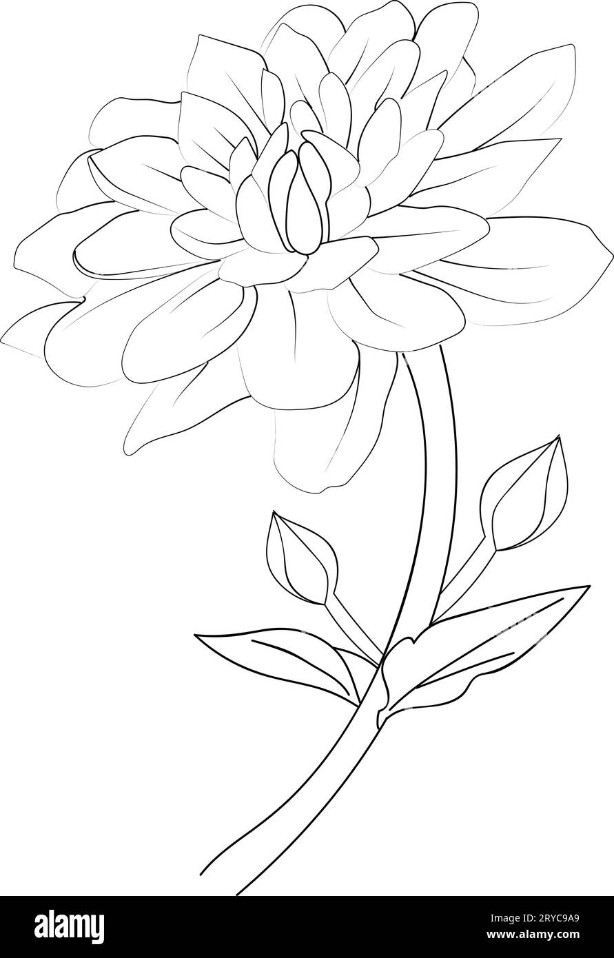 Flower coloring pages for kids Cut Out Stock Images & Pictures - Alamy