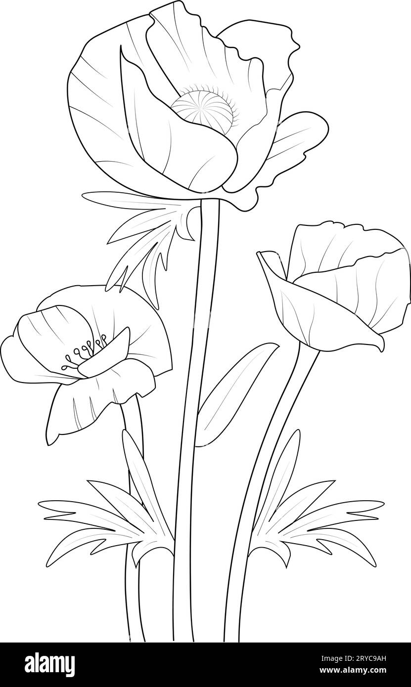 Outline Poppy Tattoos