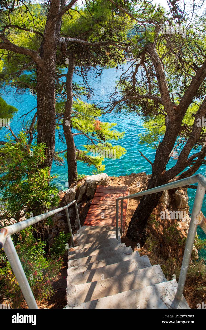 Promenade along the sea in Dubrovnik's area of Lapad Stock Photo - Alamy