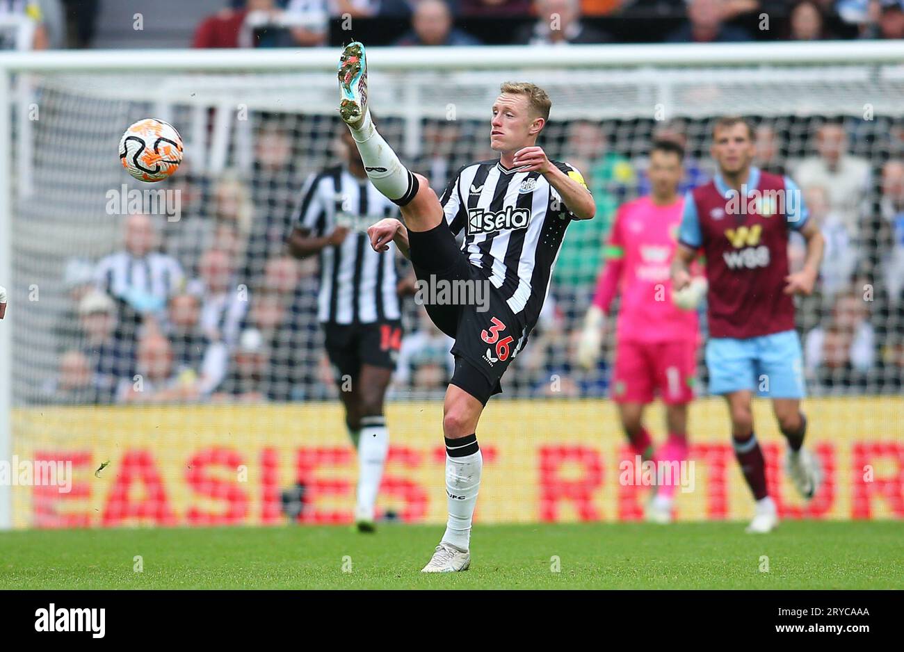 Michael longstaff hi-res stock photography and images - Alamy