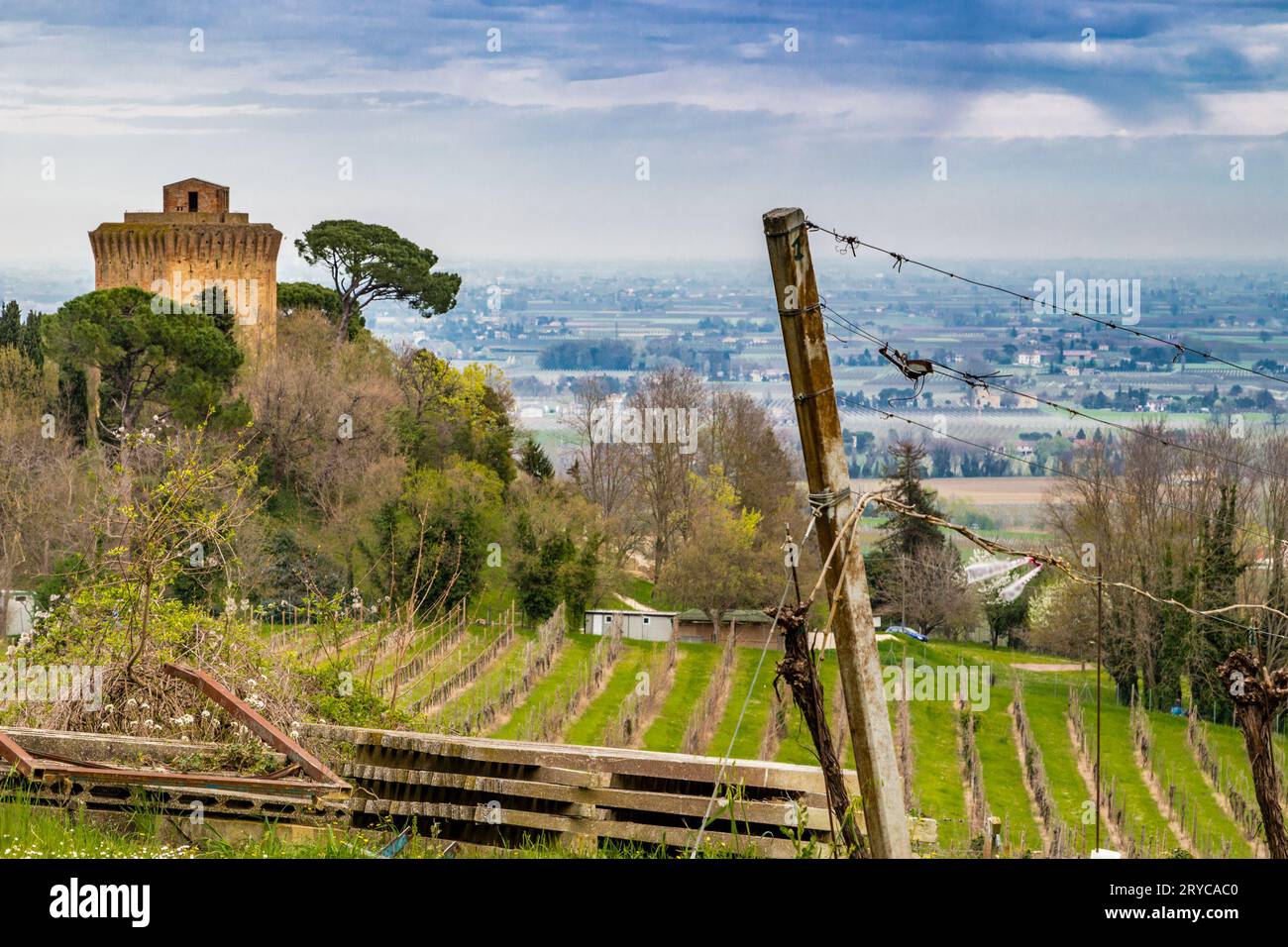 Tower overlooking leafless vineyards in rows Stock Photo - Alamy