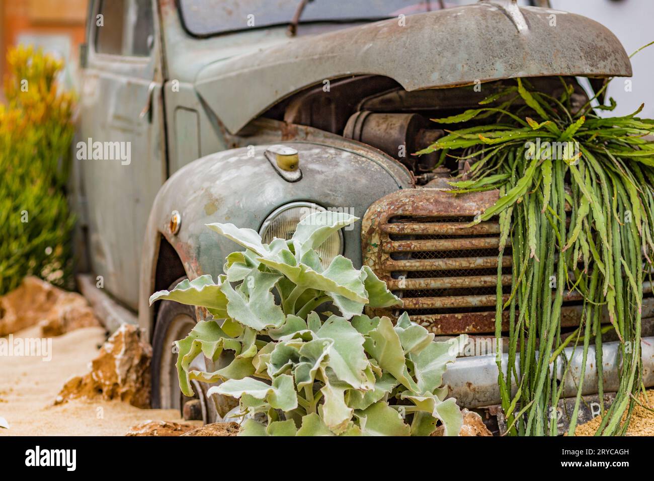 Car scrap rust scrap hi-res stock photography and images - Alamy