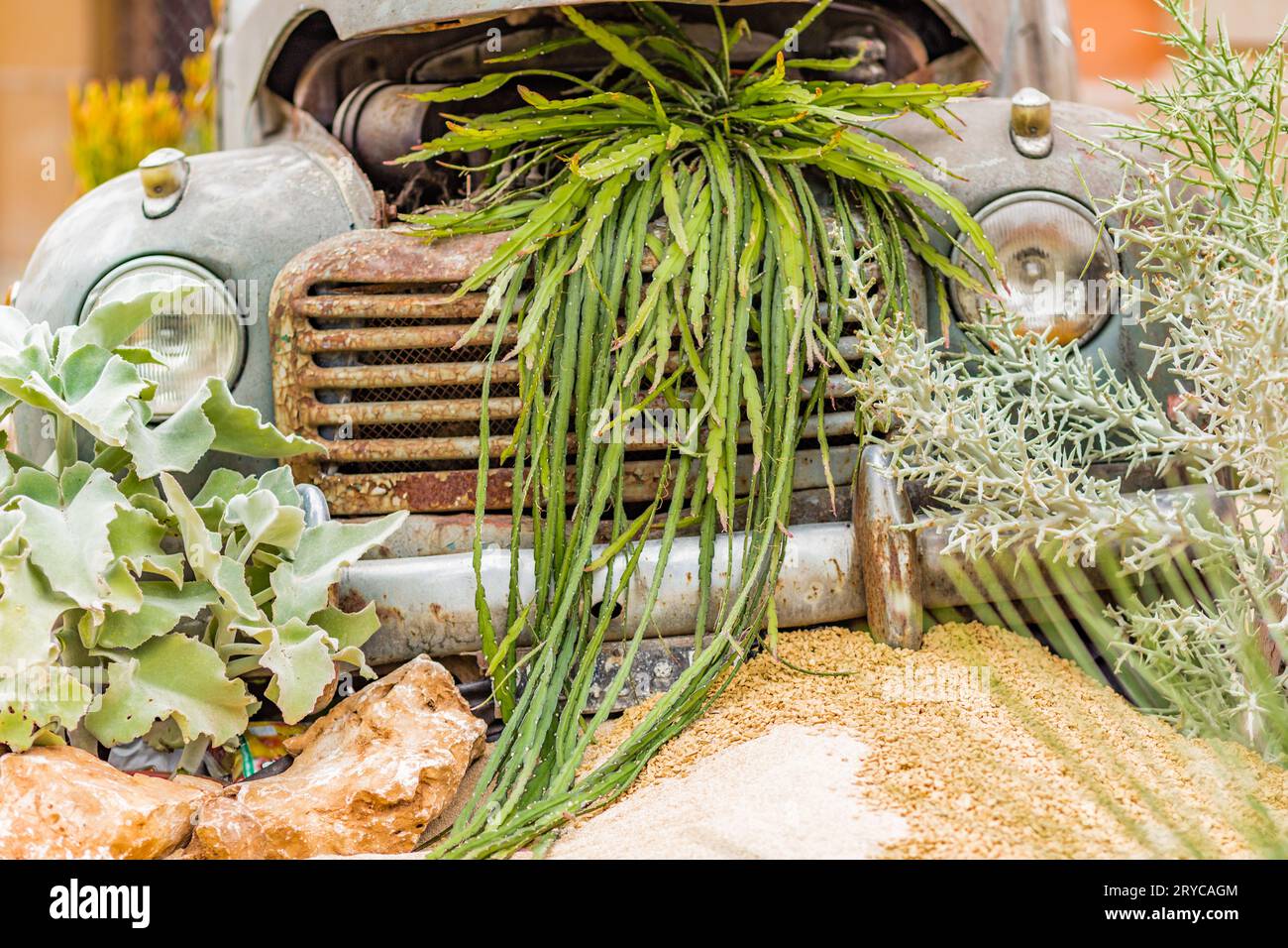 Car scrap rust scrap hi-res stock photography and images - Alamy