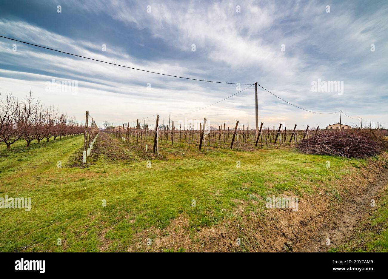 New crops hi-res stock photography and images - Alamy