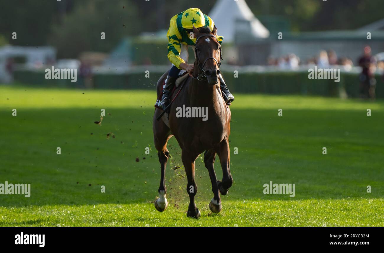 P cottier hi-res stock photography and images - Alamy