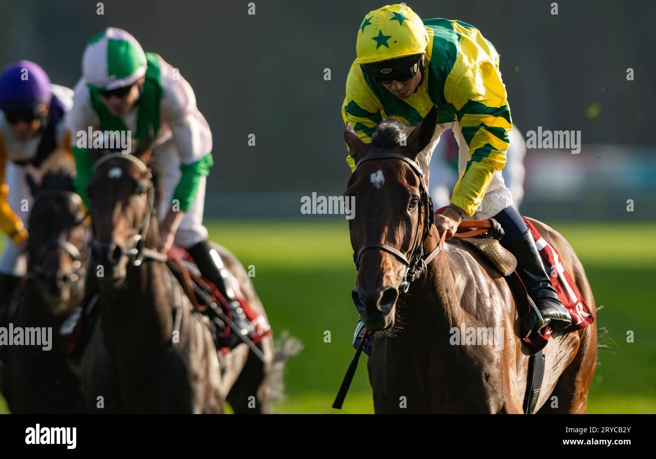 Horizon dore horse hi-res stock photography and images - Alamy