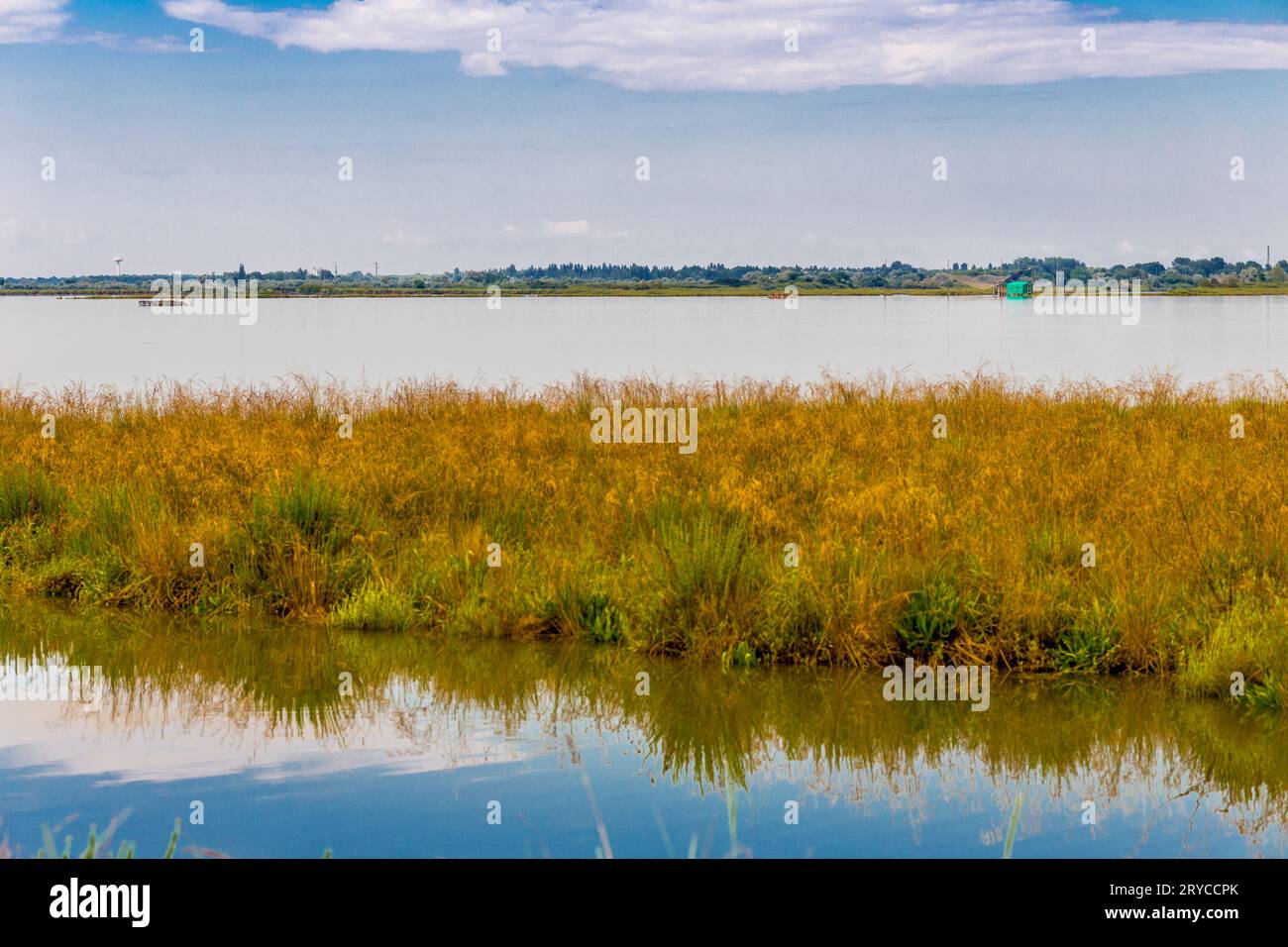 Brackish pools hi-res stock photography and images - Alamy