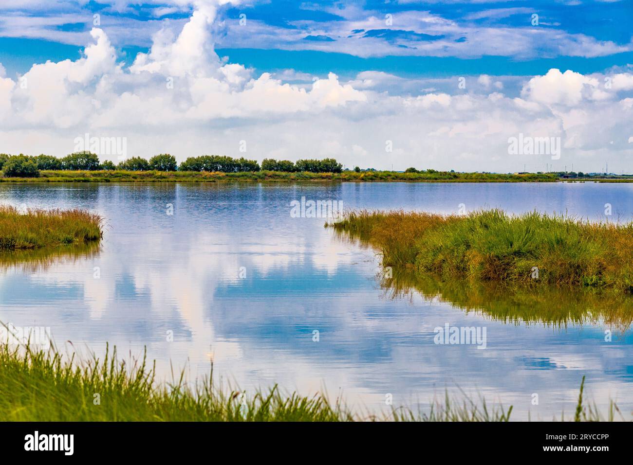Brackish water lagoon hi-res stock photography and images - Alamy