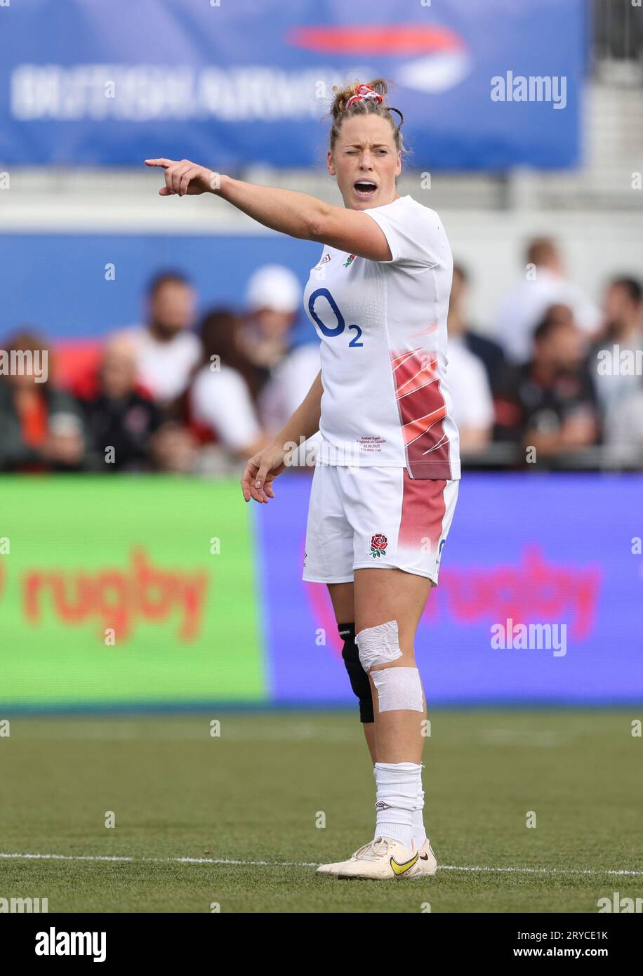 Amber reed hi-res stock photography and images - Alamy