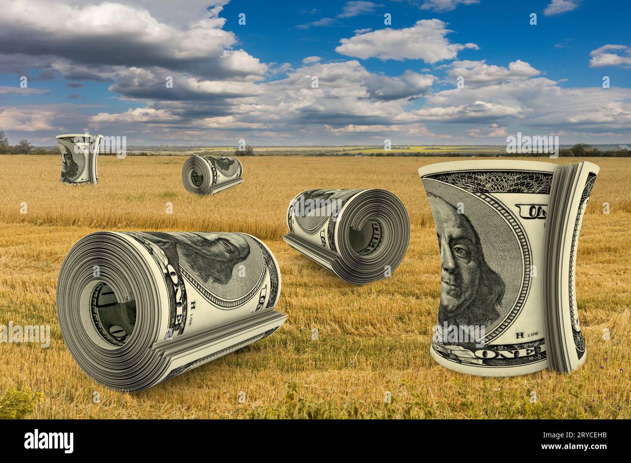 Dollar bills in field Stock Photo - Alamy
