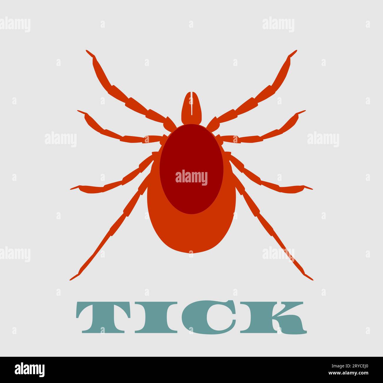 Insect silhouette.Tick parasite. Sketch of Tick. Mite. Tick isolated on ...