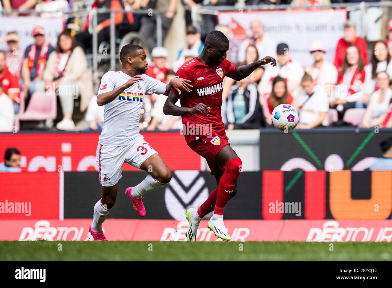 Koeln, Deutschland. 30th Sep, 2023. Zweikampf Linton Maina (1. FC Koeln, #37), Serhou Guirassy ...