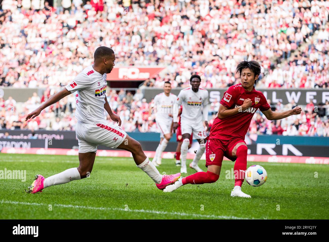 Koeln, Deutschland. 30th Sep, 2023. Zweikampf Linton Maina (1. FC Koeln, #37), Hiroki Ito (VfB ...