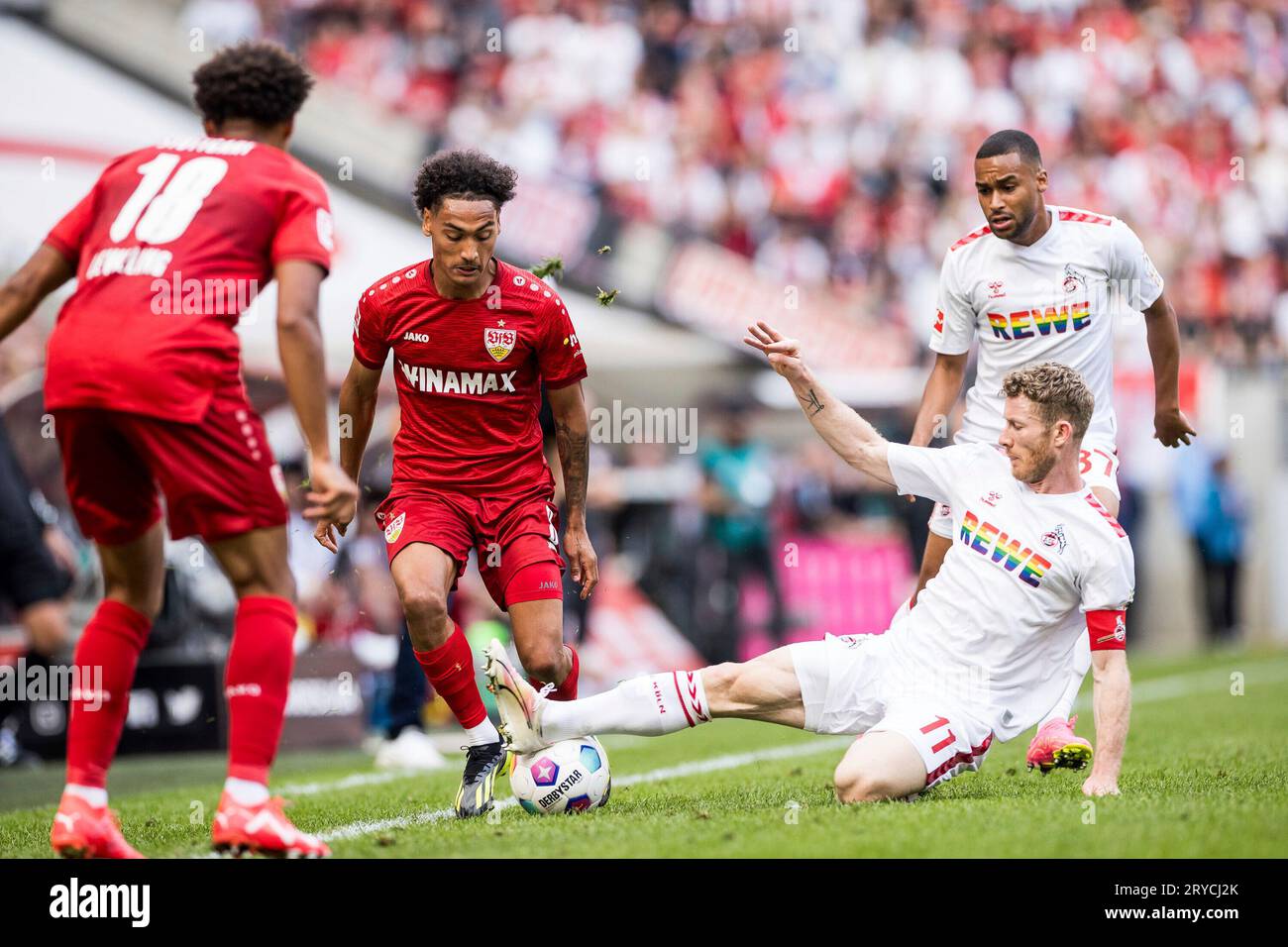 Koeln, Deutschland. 30th Sep, 2023. Zweikampf Enzo Millot (VfB Stuttgart, #8), Linton Maina (1 ...