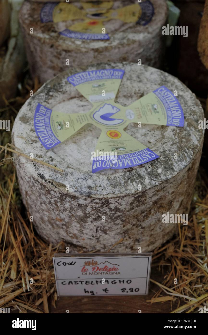 Italy, piedmontese raw milk cheese Stock Photo - Alamy