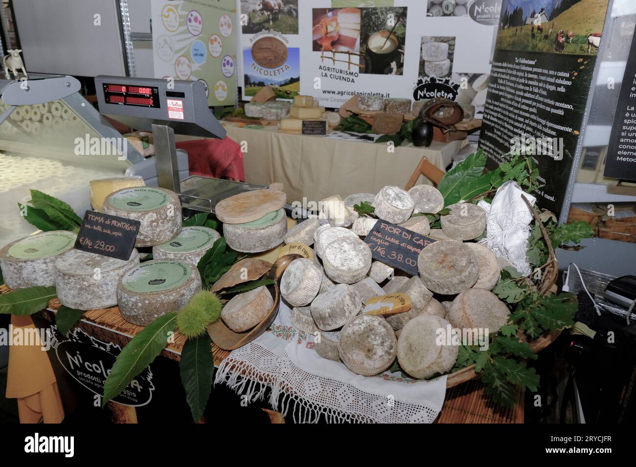 Italy, piedmontese raw milk cheese Stock Photo - Alamy