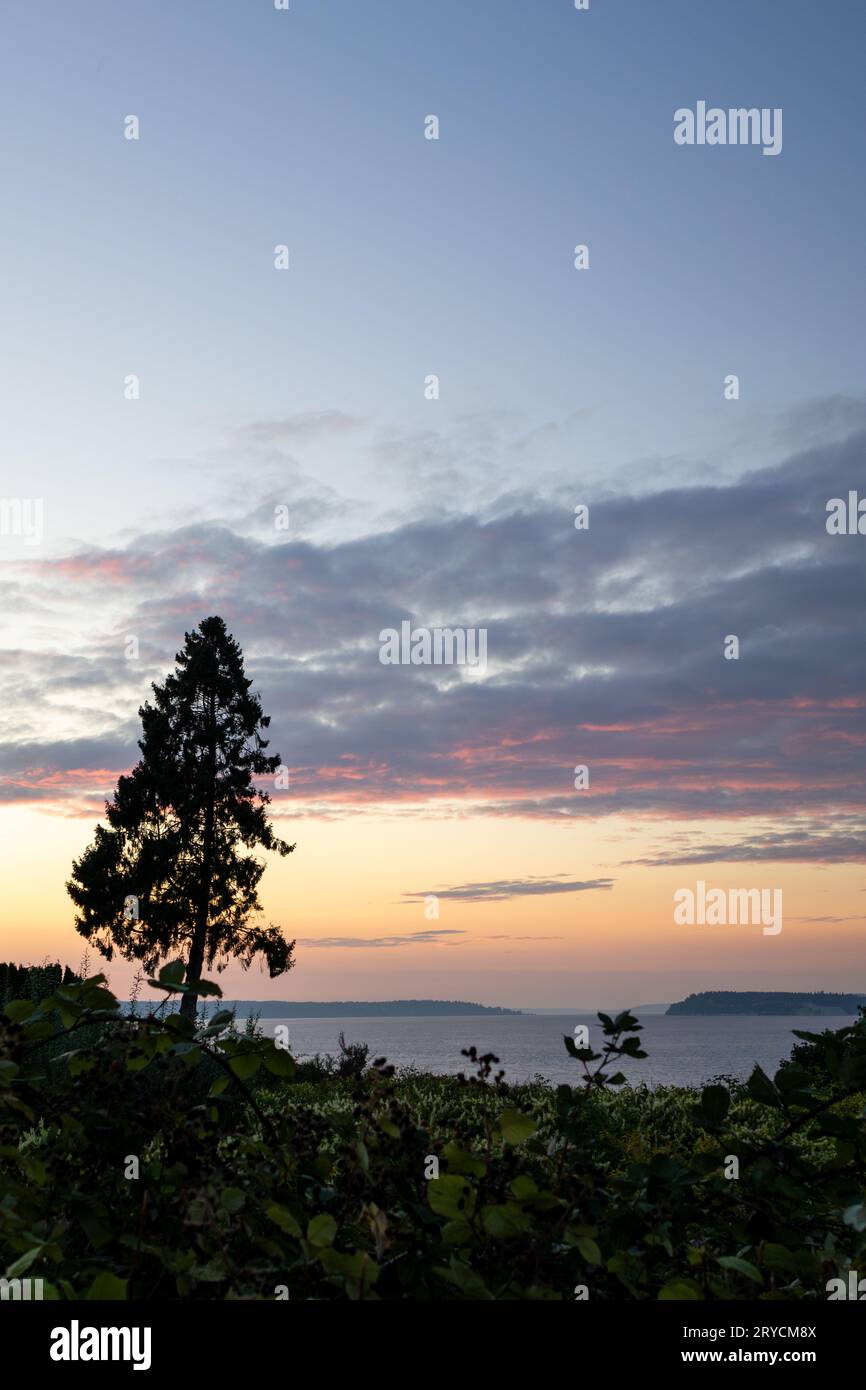 Harborview park everett washington hi-res stock photography and images ...