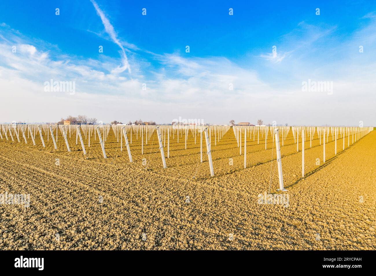 Rows of poles for fruit trees Stock Photo - Alamy