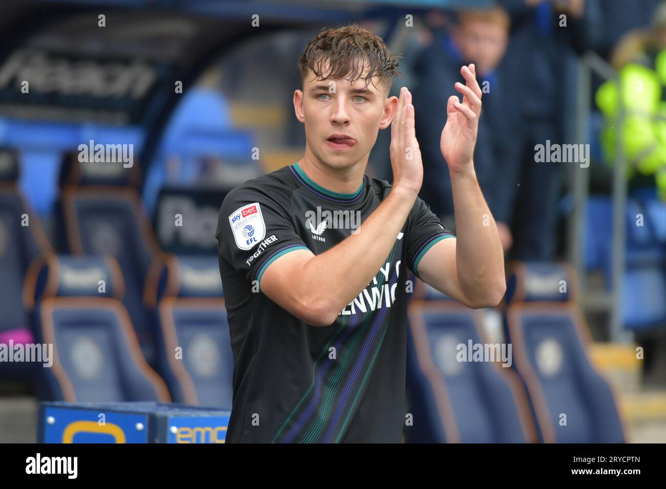 Croud meadow hi-res stock photography and images - Alamy