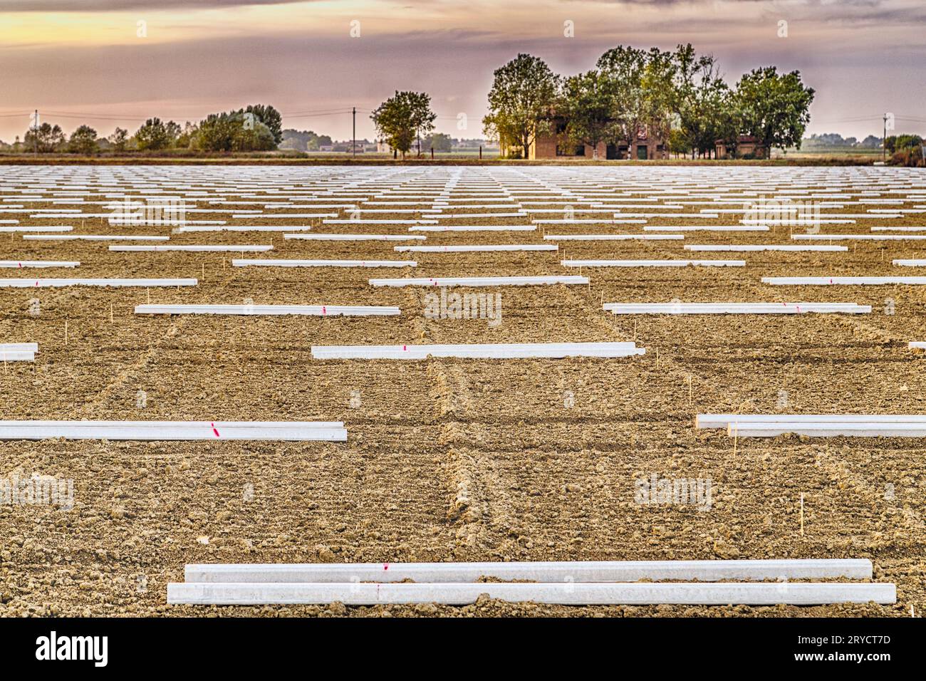 Geometric designs of support poles in farmlands Stock Photo - Alamy