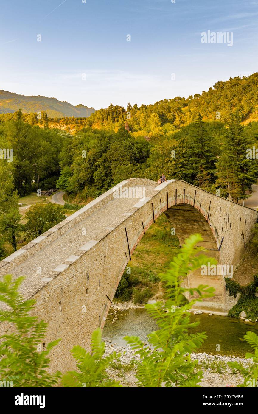 Old hunchbacked hi-res stock photography and images - Alamy