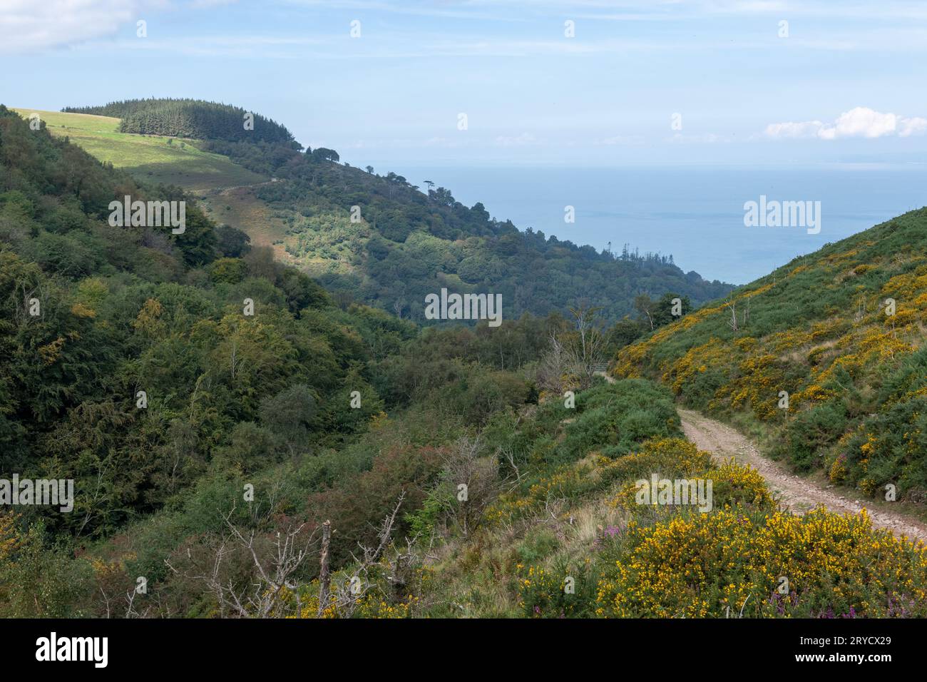 Photo of the footpath leading down to Glenthorne beach in Exmoor ...