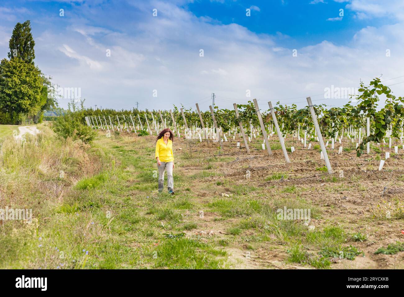 Kiwi countryside hi-res stock photography and images - Alamy